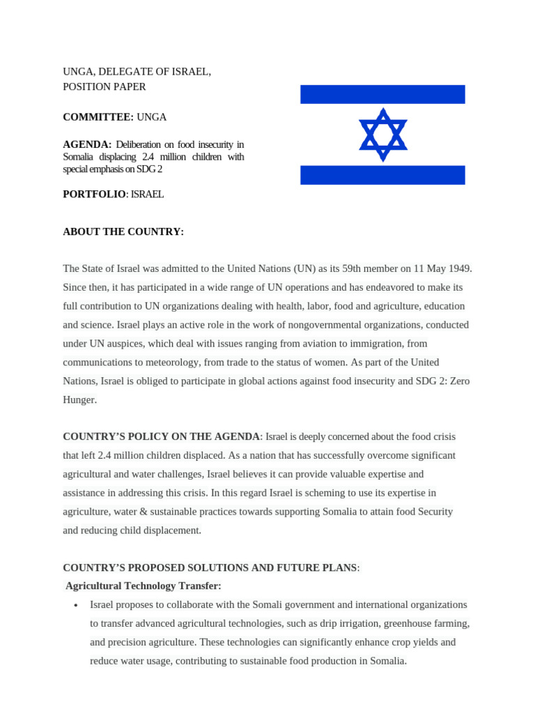 Position Paper of Israel | PDF