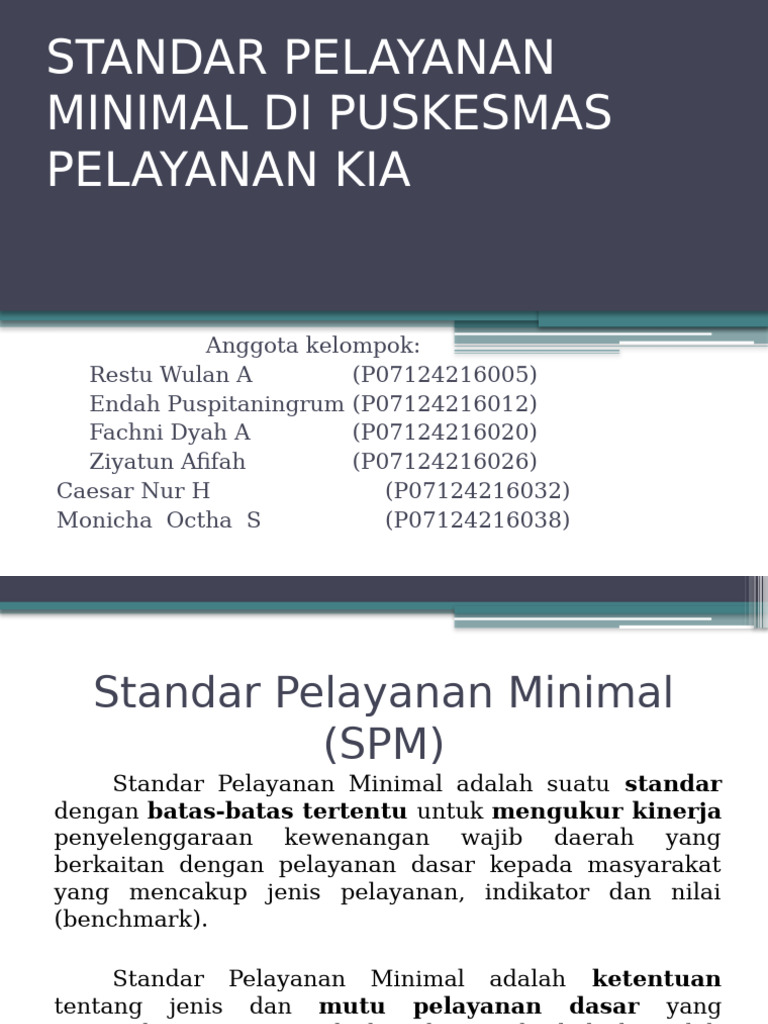 Standar Pelayanan Minimal Di Puskesmas Pelayanan Kia | PDF