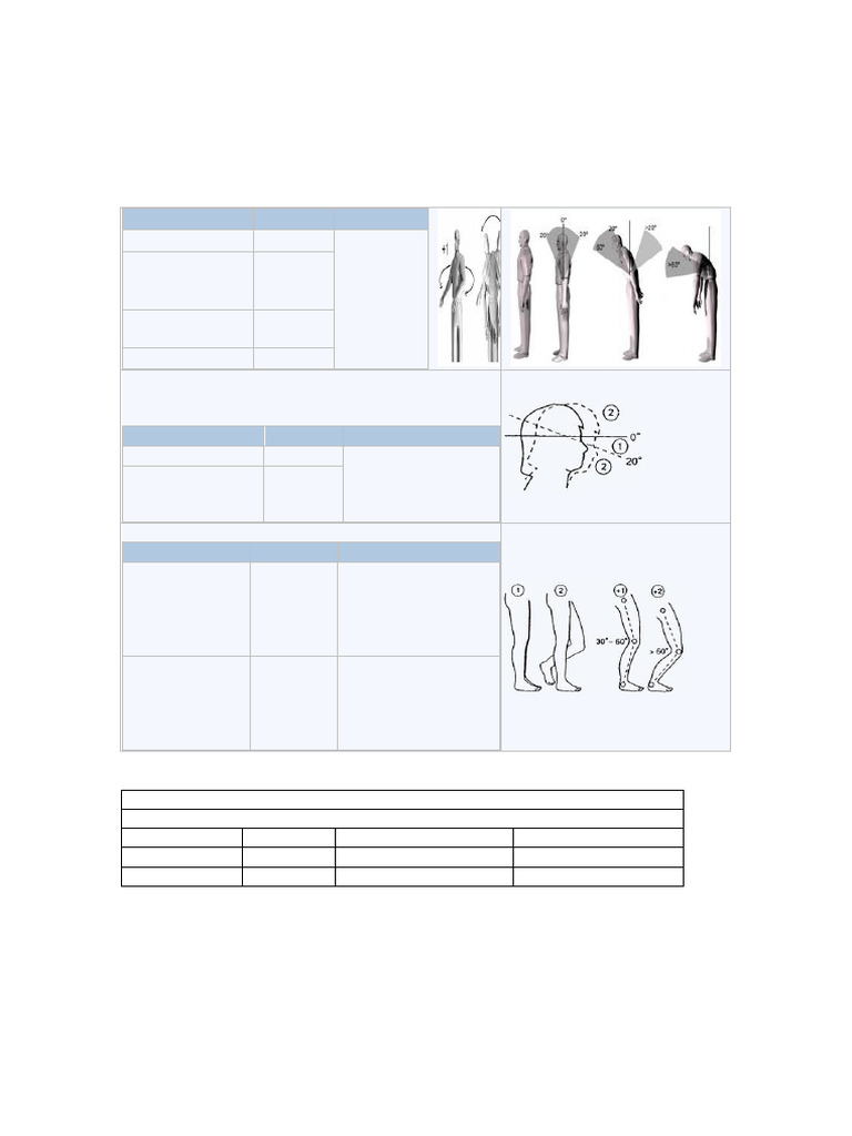 Reba Formato Instrumento | PDF
