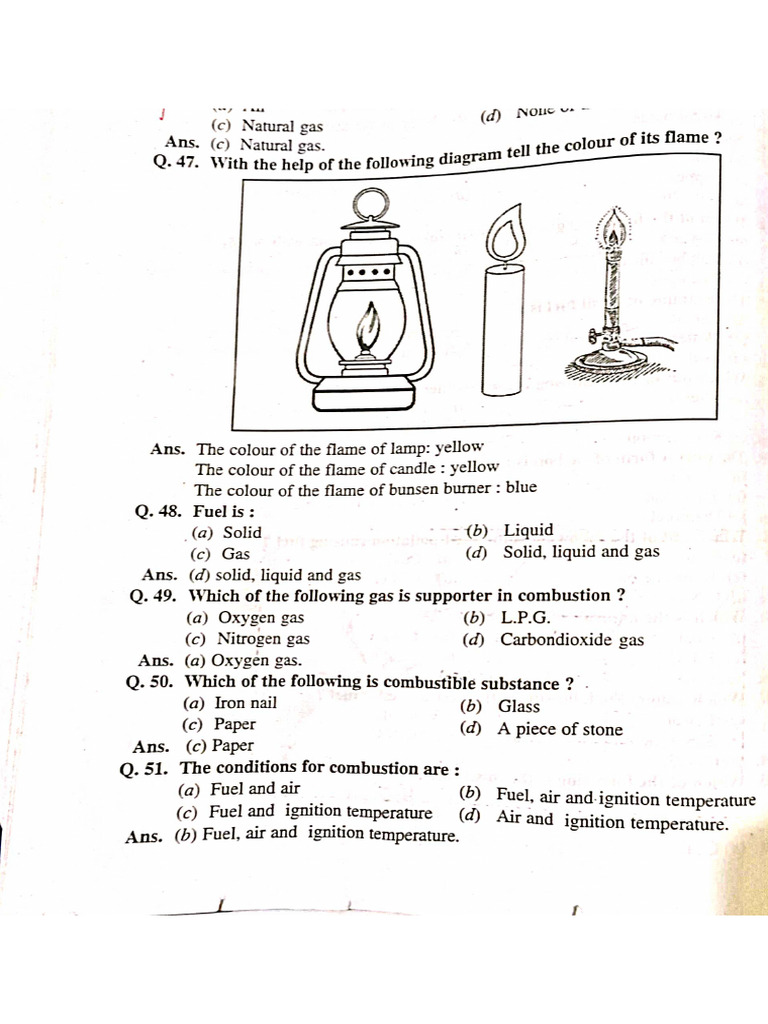 Holiday Homework Class 8 | PDF