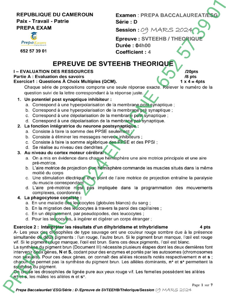 Epreuve de Svteehb Theorique-09 Mars 2024-Tled-2023-2024 | PDF