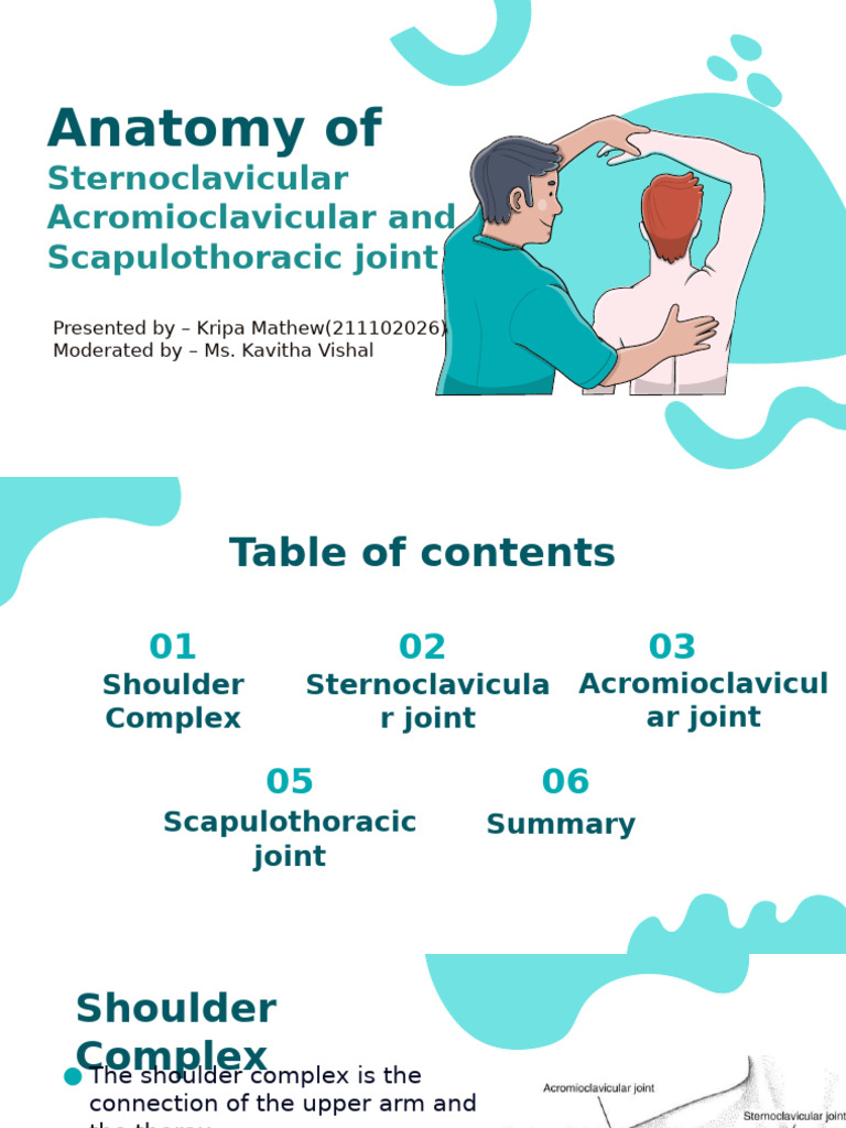 Anatomy of SC, Ac and ST Joint | PDF
