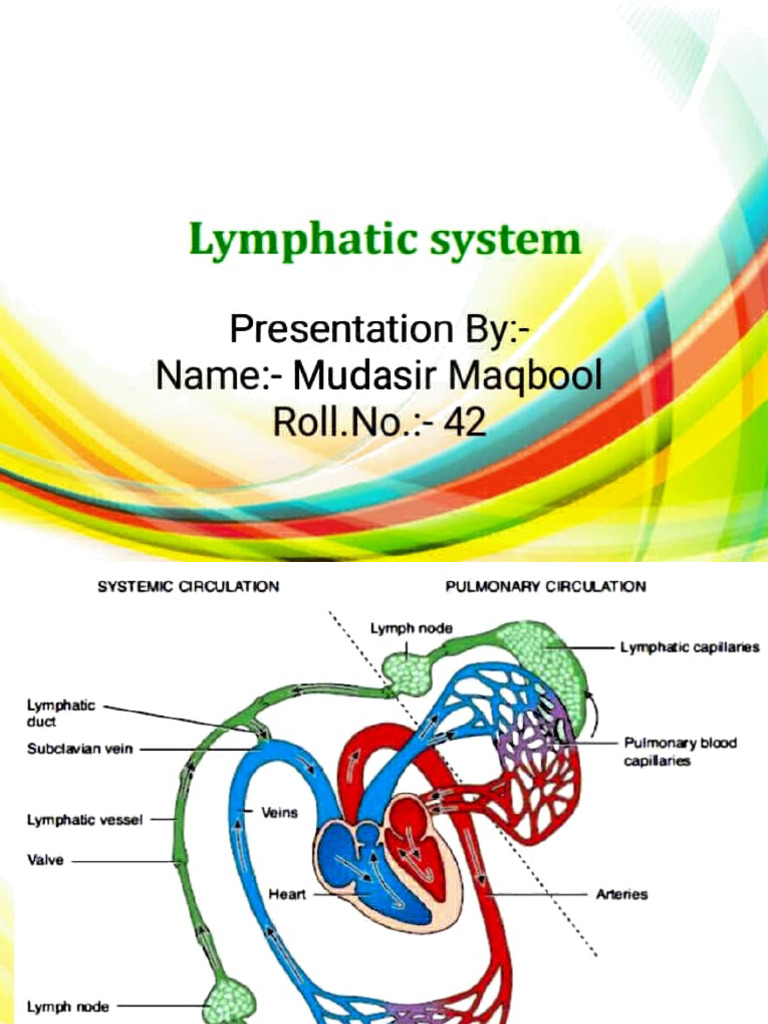 Lymphatic System Presentation by - Mudasir Maqbool | PDF