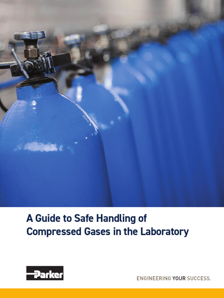 PKR - WP-Safe Gas Handling Guide - 042023 | PDF