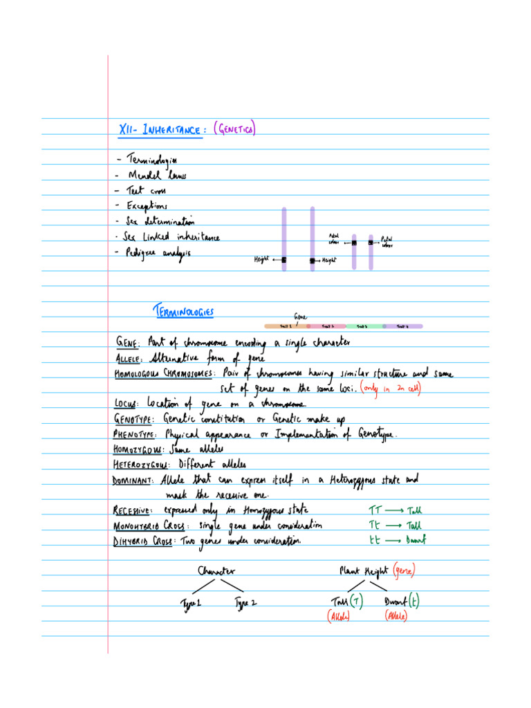 Inheritance Complete Pdf