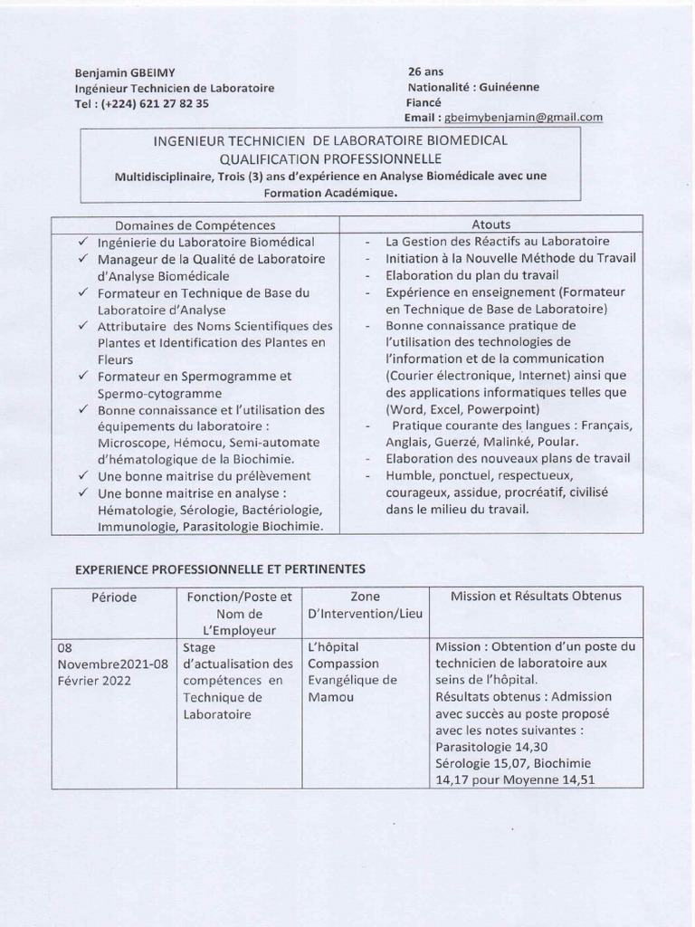 CV Benjamin | PDF