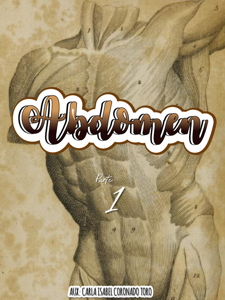Anatomia Abdomen Completo | PDF