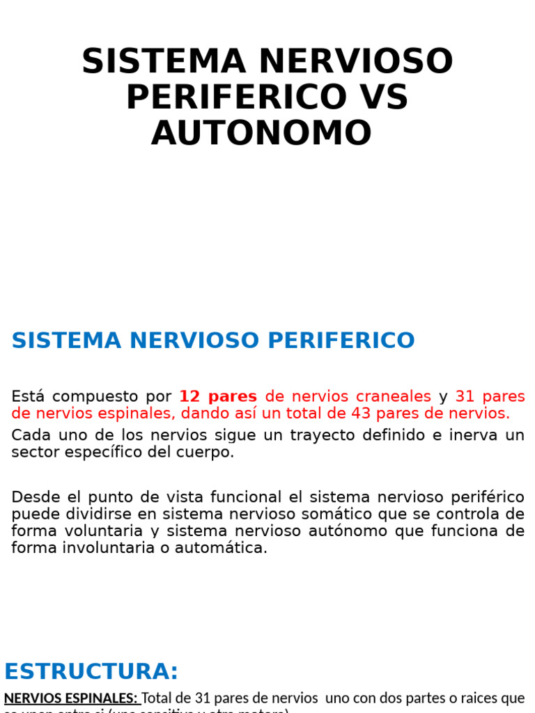 Sistema Nervioso Periferico | PDF