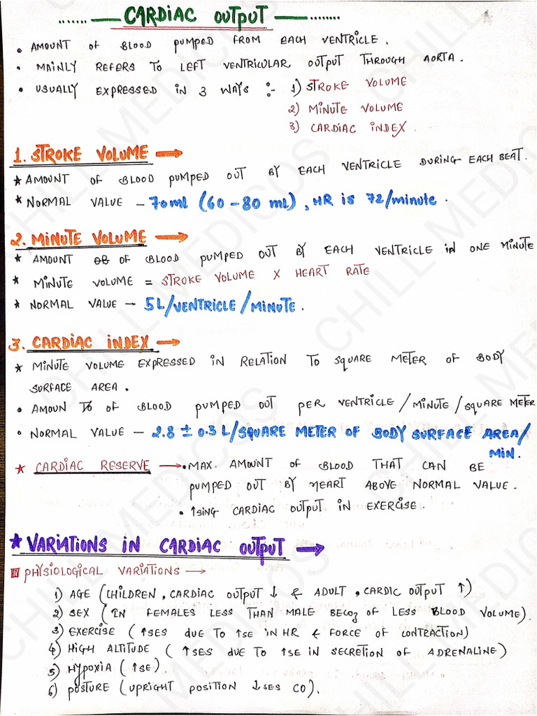 Cardiovascular System Physiology Notes | PDF