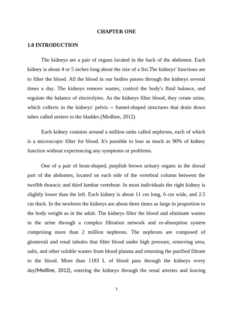 My Correct Project | PDF