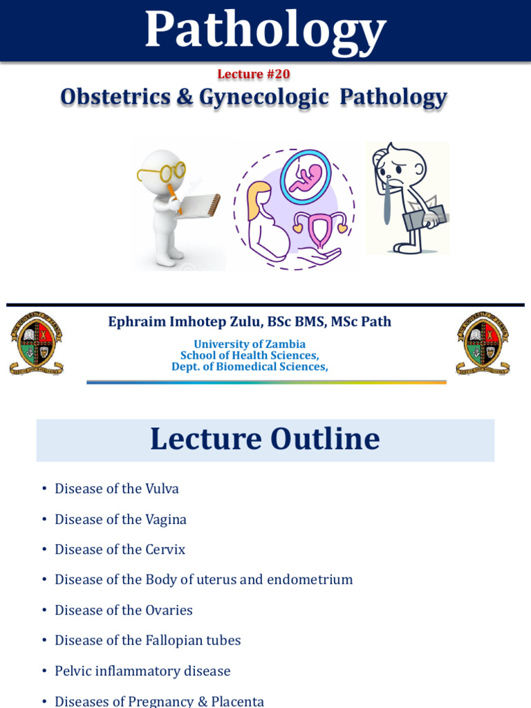PATHOLOGY - 20 - Obstetrics & Gynecologic Pathology | PDF