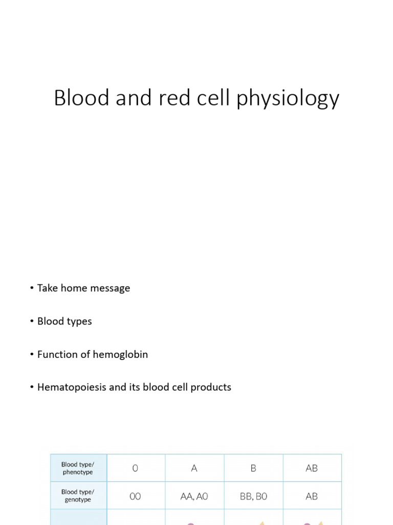 Blood Class 2 | PDF