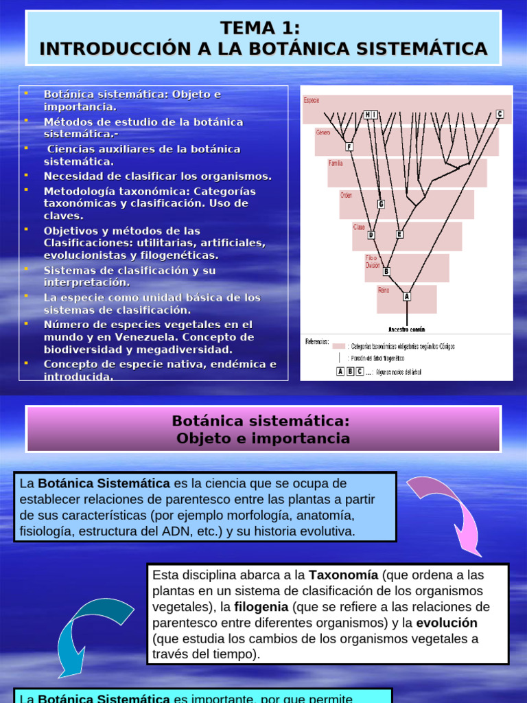 Introducción a la Botánica Sistemática | PDF | Taxonomía (biología ...