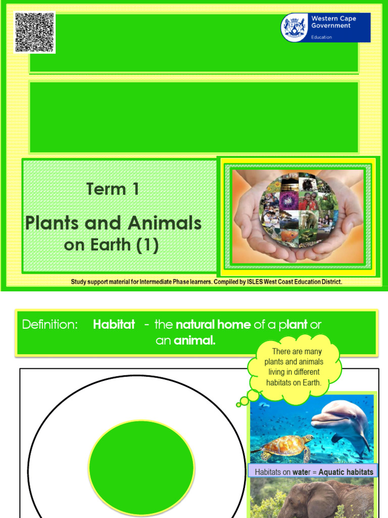 Plants and Animals On Earth | PDF