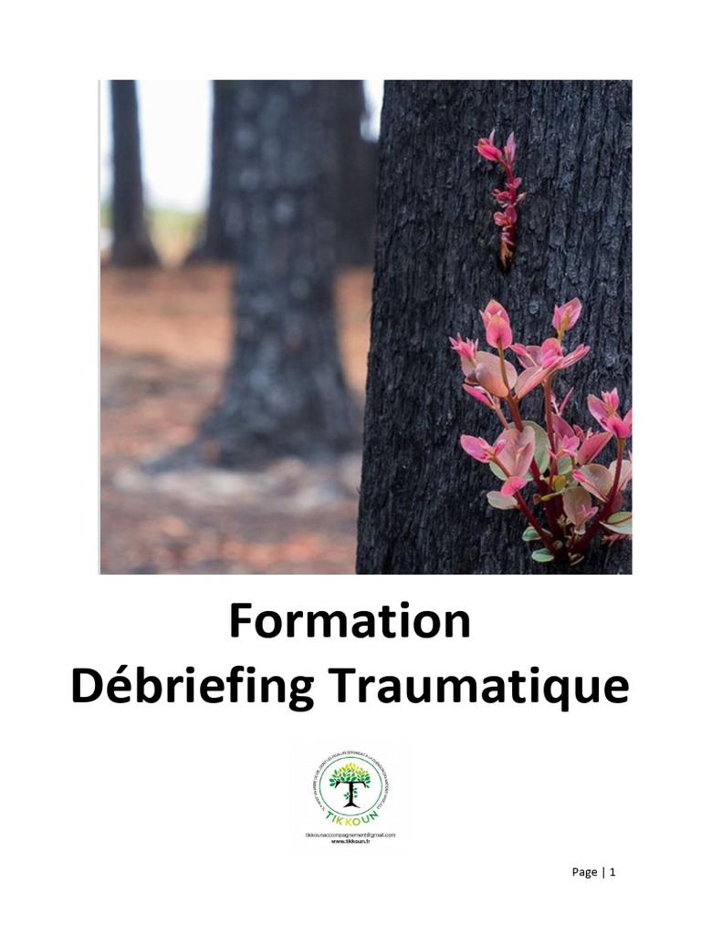 Manuel Formation Débriefing Traumatique 2024 | PDF