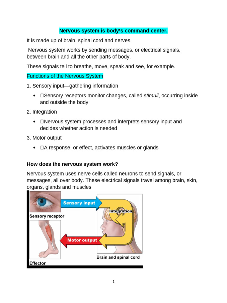 NERVOUS SYSTEM Disorders | PDF