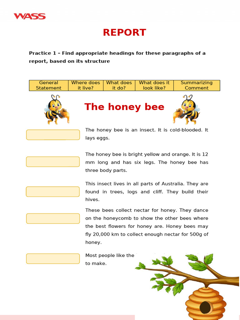 Y3 T2 Reading & Writing | PDF