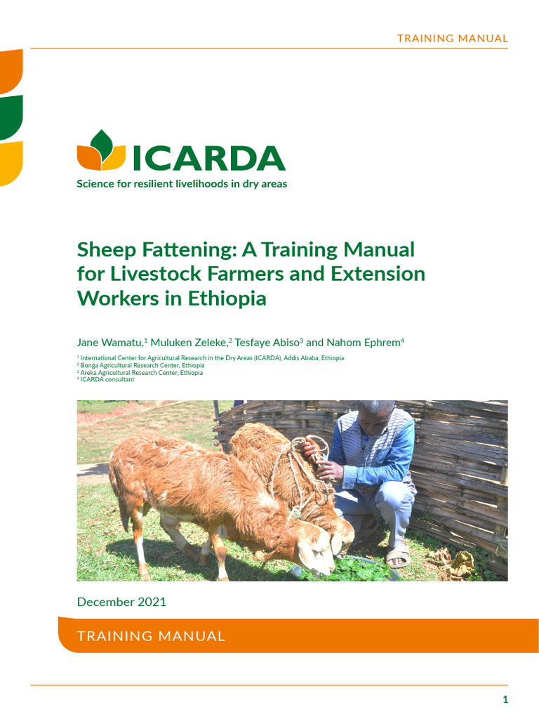 ICARDA Sheep Fattening A Manual For Livestock Farm... (Sheep Fattening ...