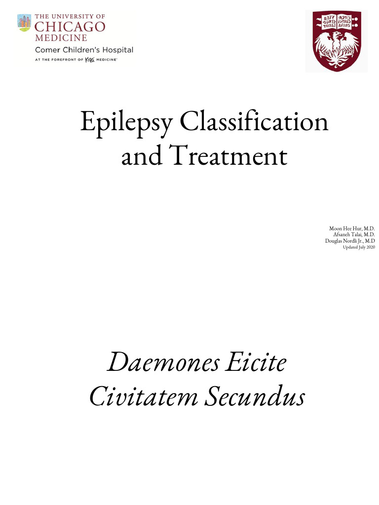 Epilepsy Classification and Treatment | PDF