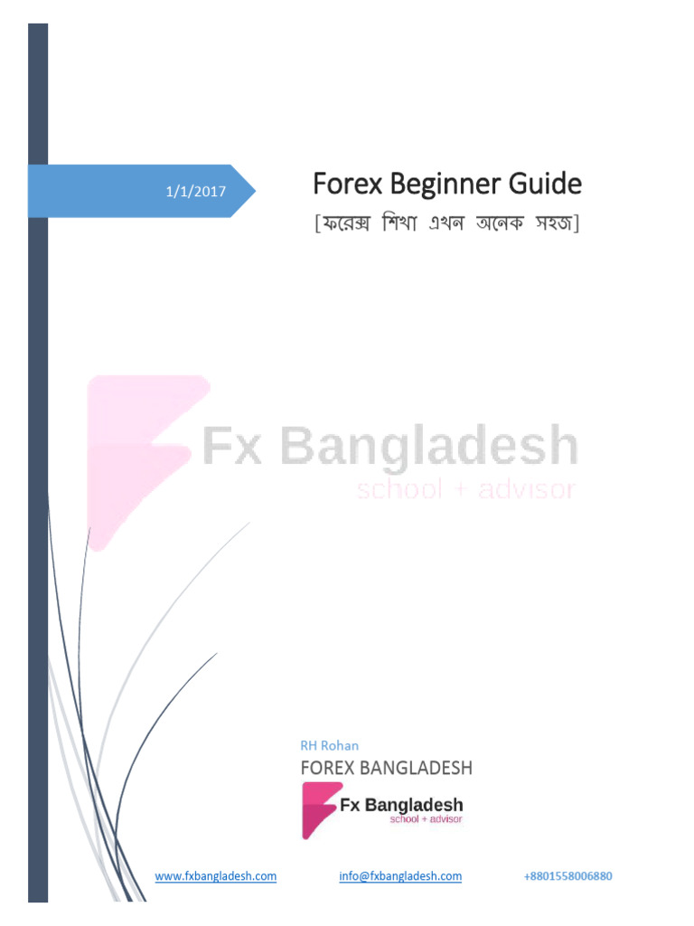 Forex Begineer Guide 1 | PDF