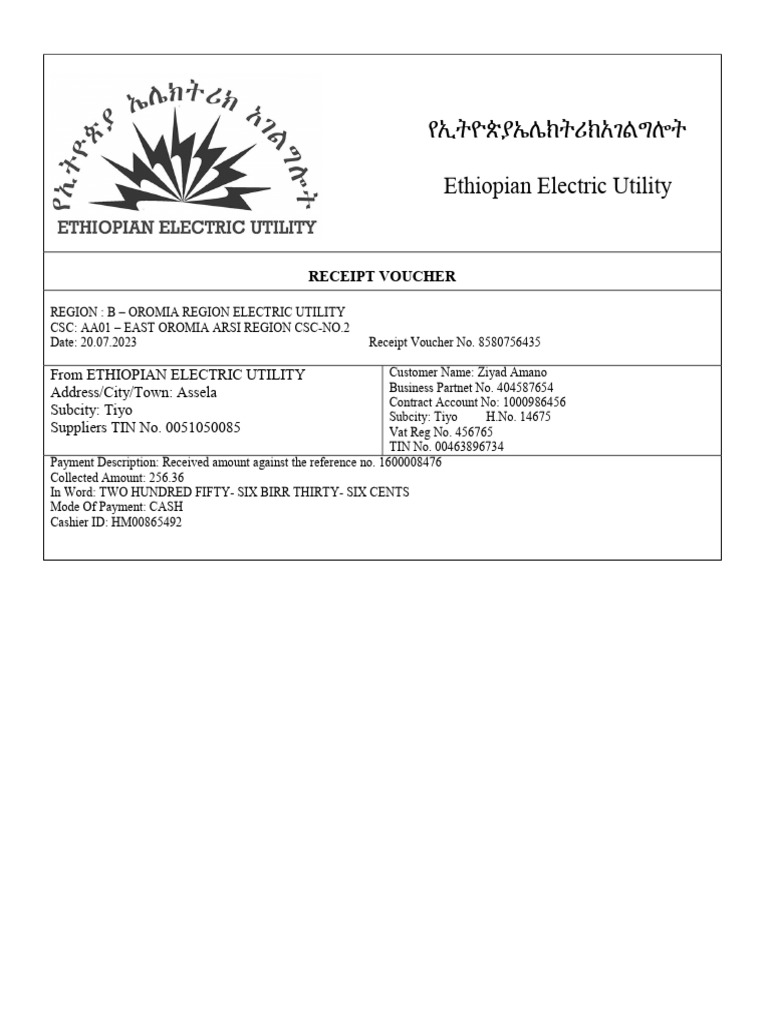 Ethio Electric Utility Bill | PDF