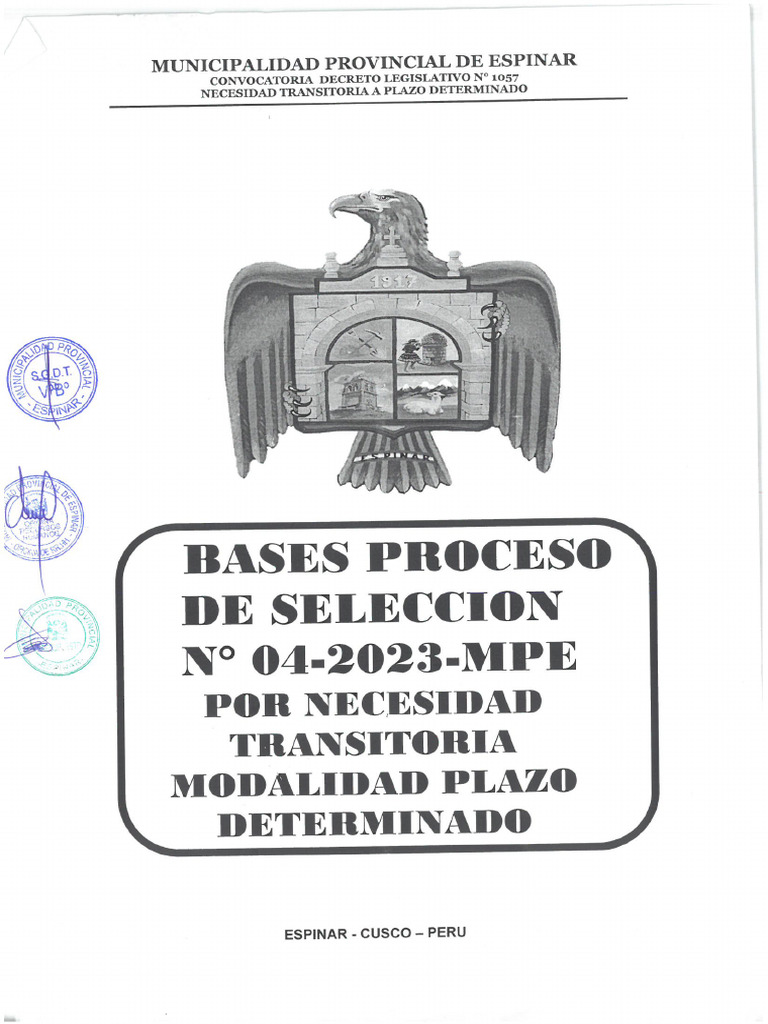 Bases Proceso Selecion Cas #04-2023-Mpe | PDF