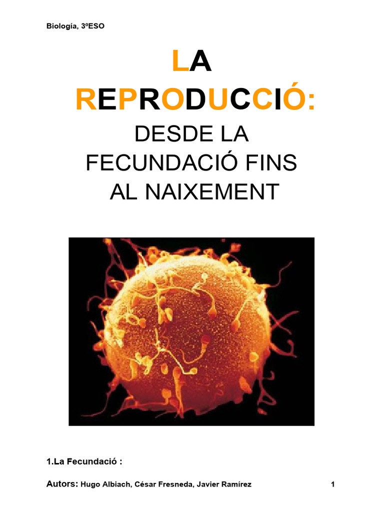 Treball Reproducció | PDF
