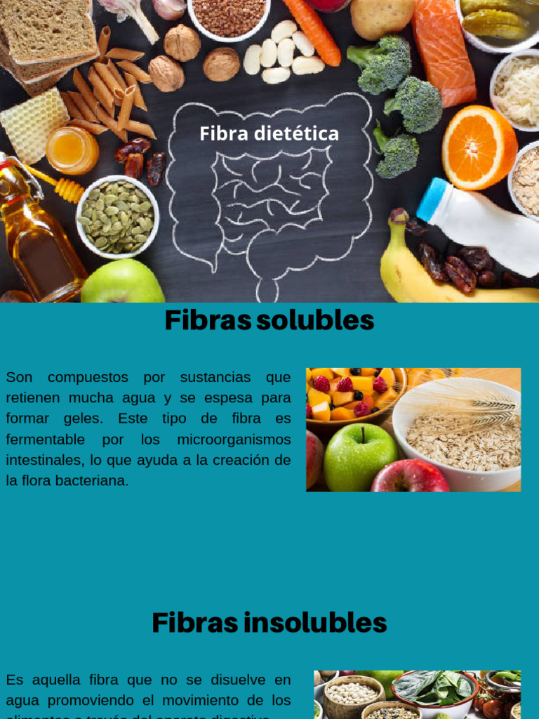 Fibra Soluble y Insoluble - Organized | PDF