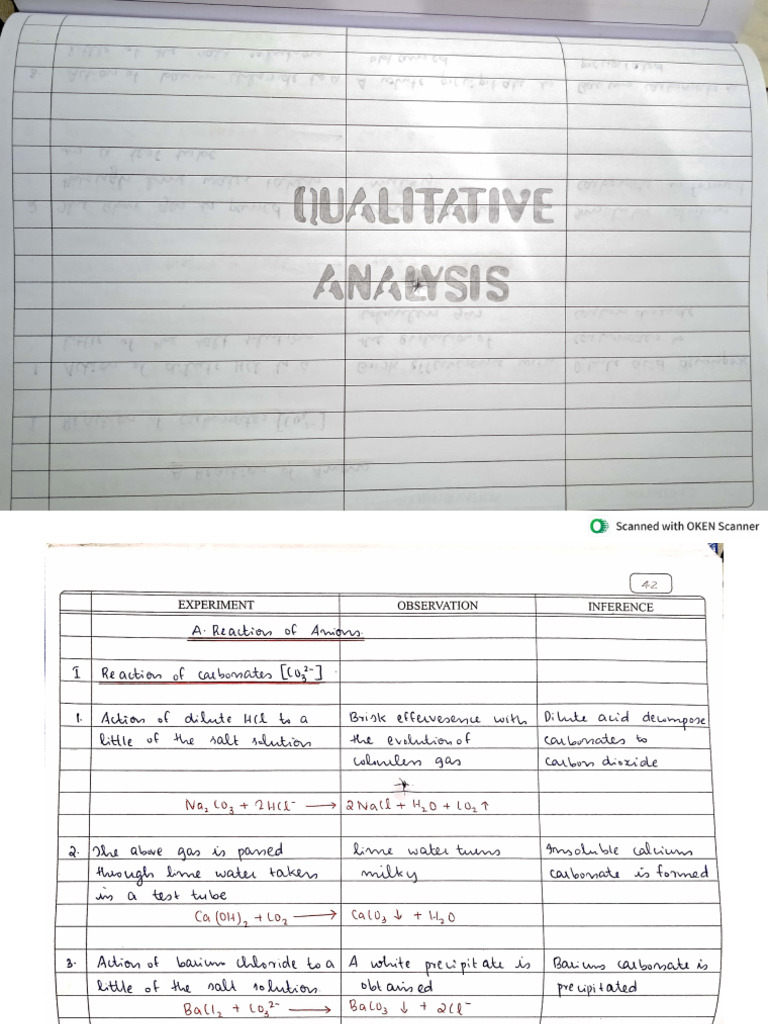 Qualitative Analysis | PDF