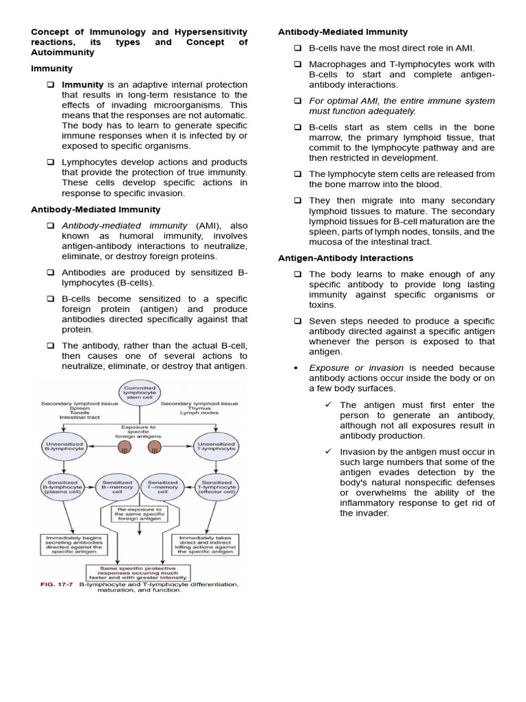 Immune System 2 | PDF