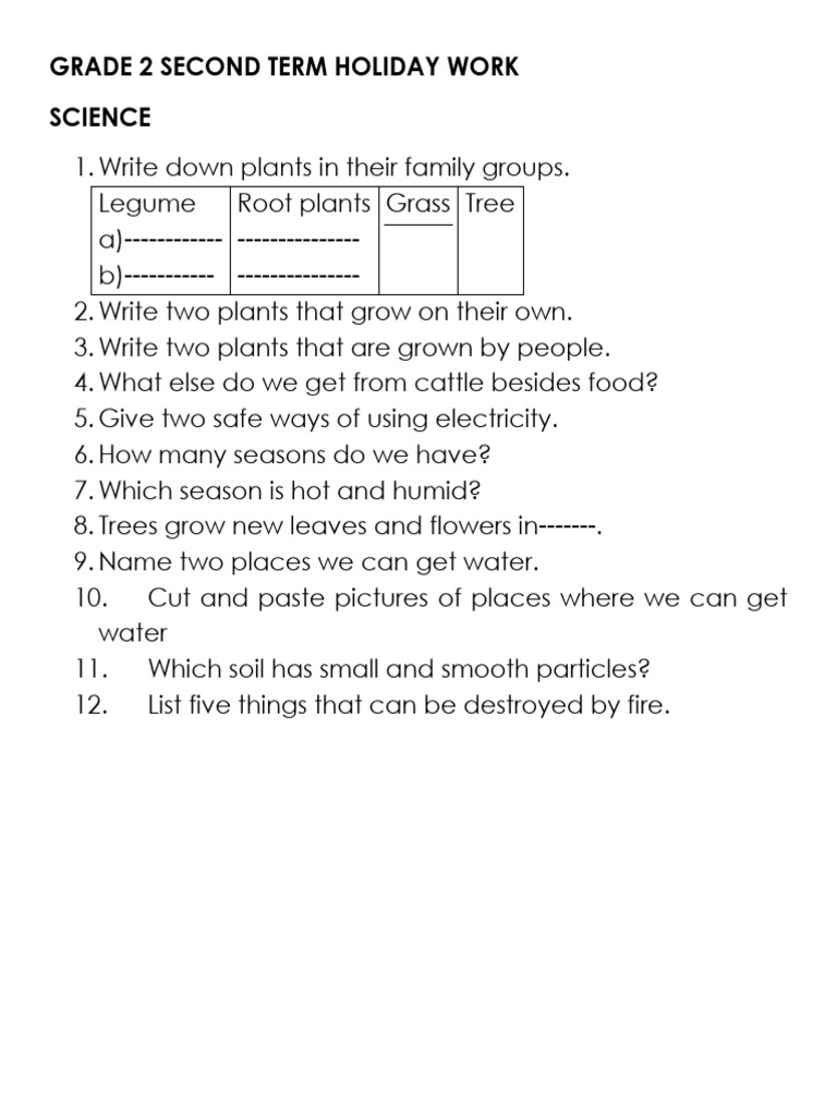 Grade 2 Second Term Holiday Work-1 | PDF