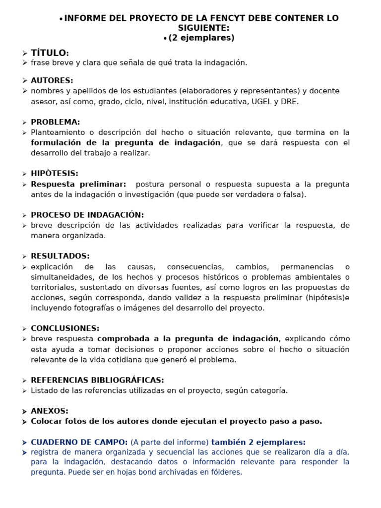 Informe Del Proyecto de La Fencyt - 2024 | PDF