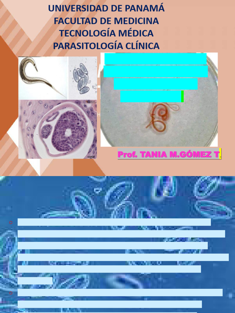 Clase de MED Enterobius, Trichuris y Capillaria-Comprimido | PDF ...