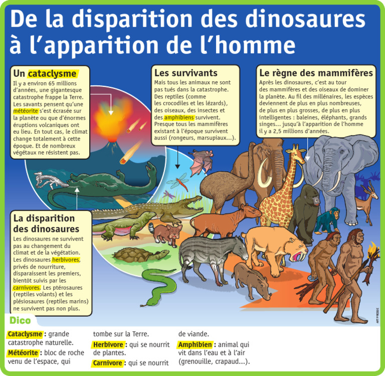 3-De La Disparition Des Dinosaures À L Appartion de L Homme | PDF