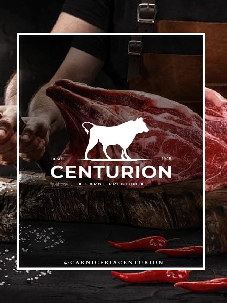 Catalogo Centurion 2024 | PDF