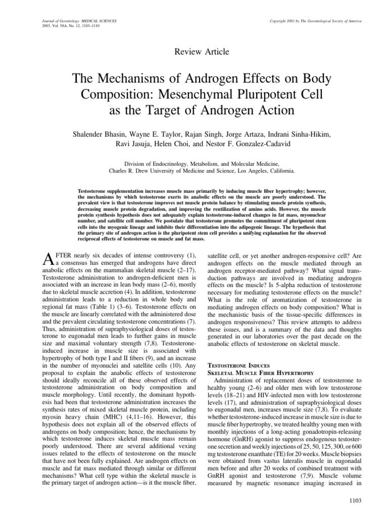 Bhasin (2003) - The Mechanisms of Androgen Effects On Body Composition ...