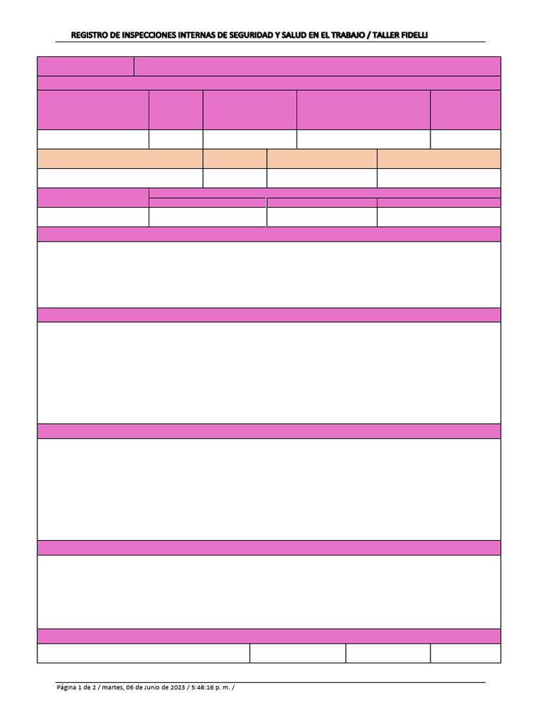 Reporte de Inspeccion-FIDELLI 06 JUNIO 2023 | PDF