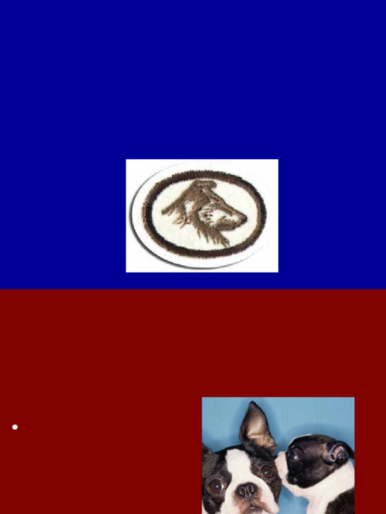 Especialidade de Caes | PDF