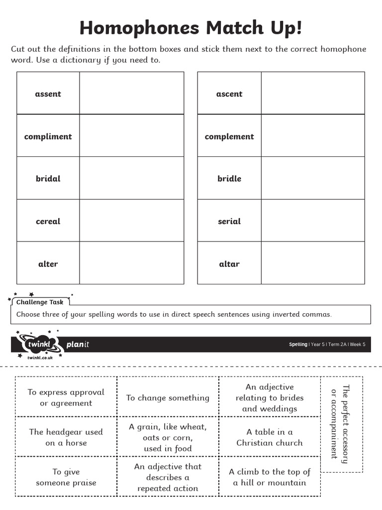 Homophones Match Up | PDF