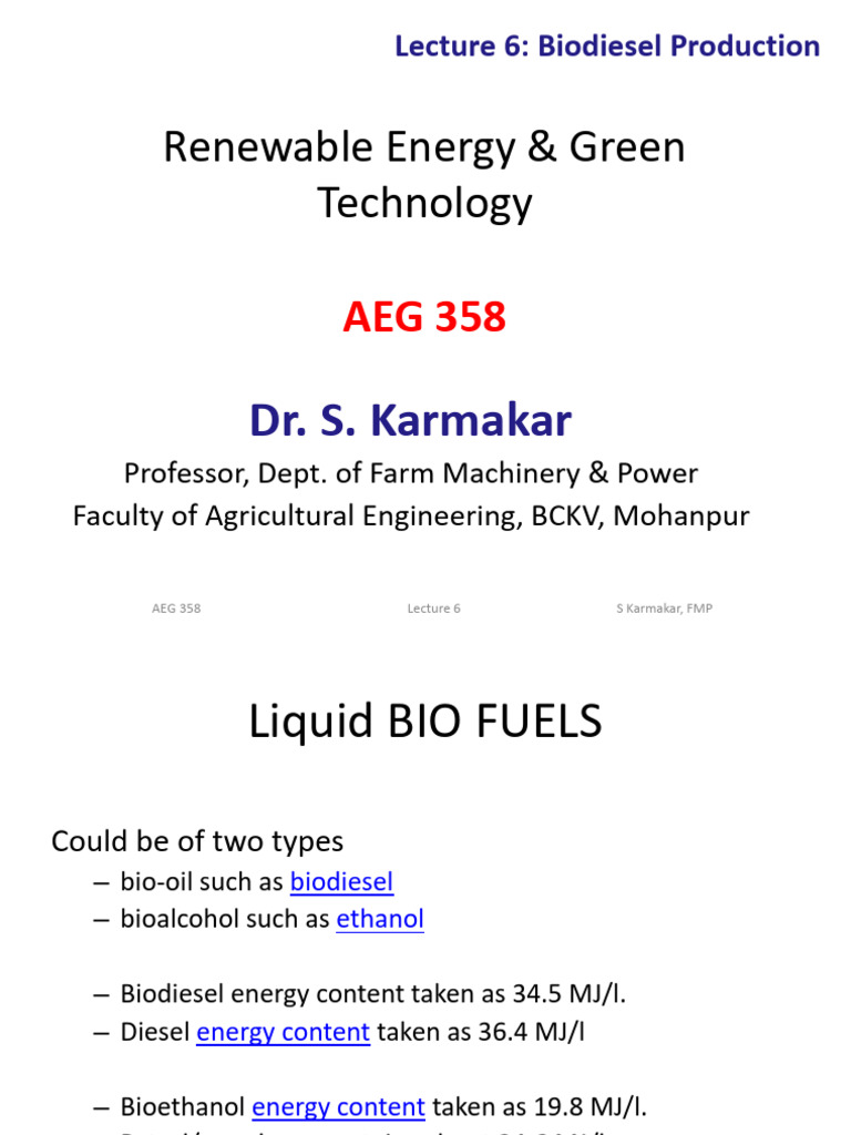 Bio Fuel | PDF