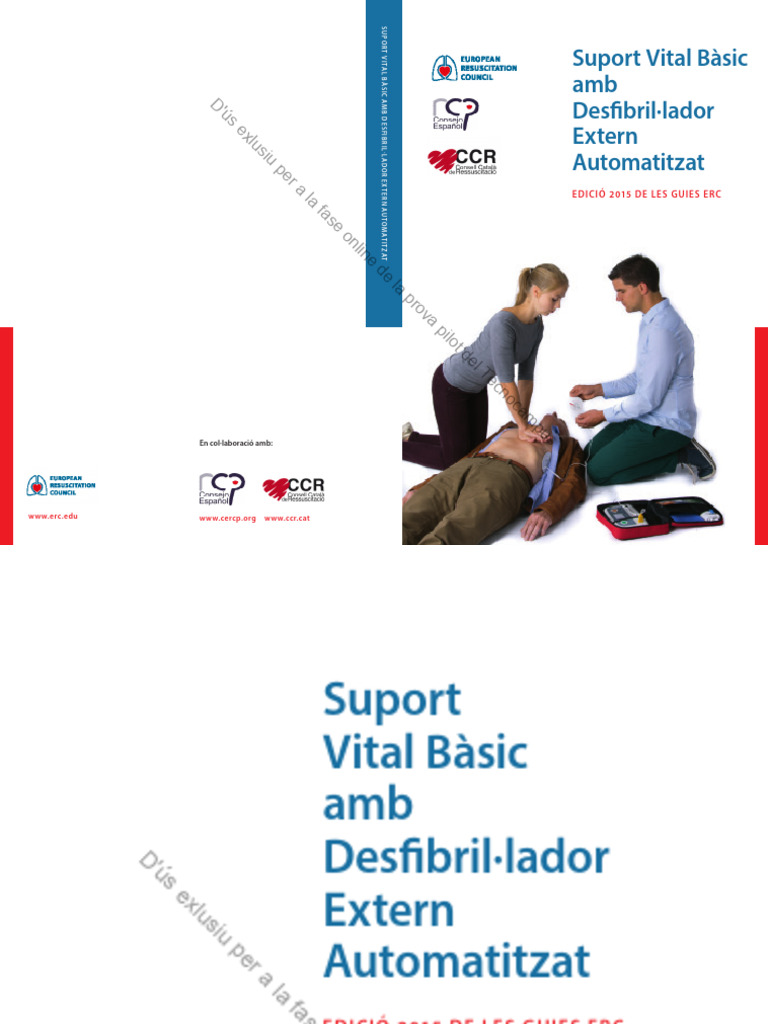 Manual SVB+DEA CatalaÌ | PDF