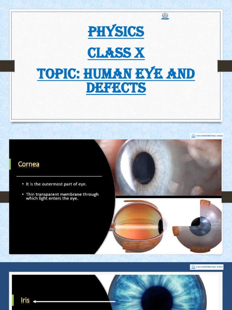 Human Eye | PDF