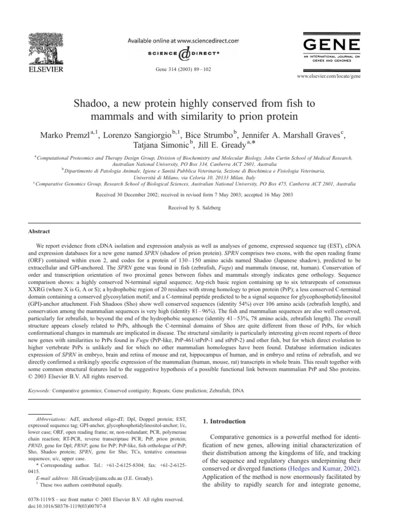 Shadoo, A New Protein Highly Conserved From Fish | PDF