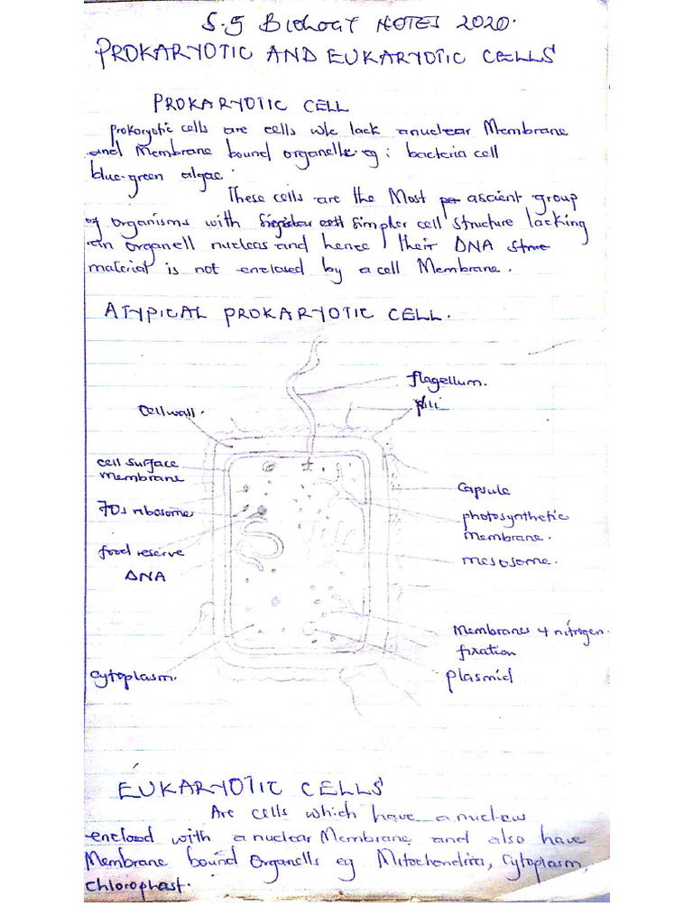 S 5 Biology Notes Uace | PDF