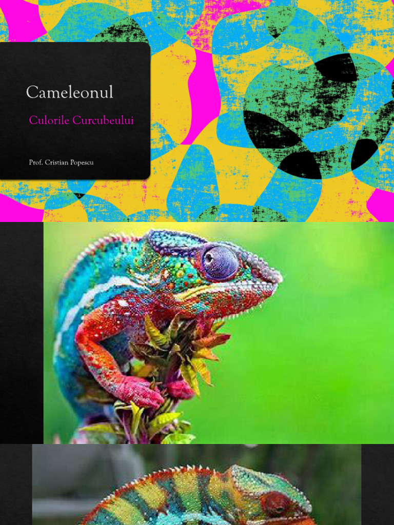Cameleonul | PDF