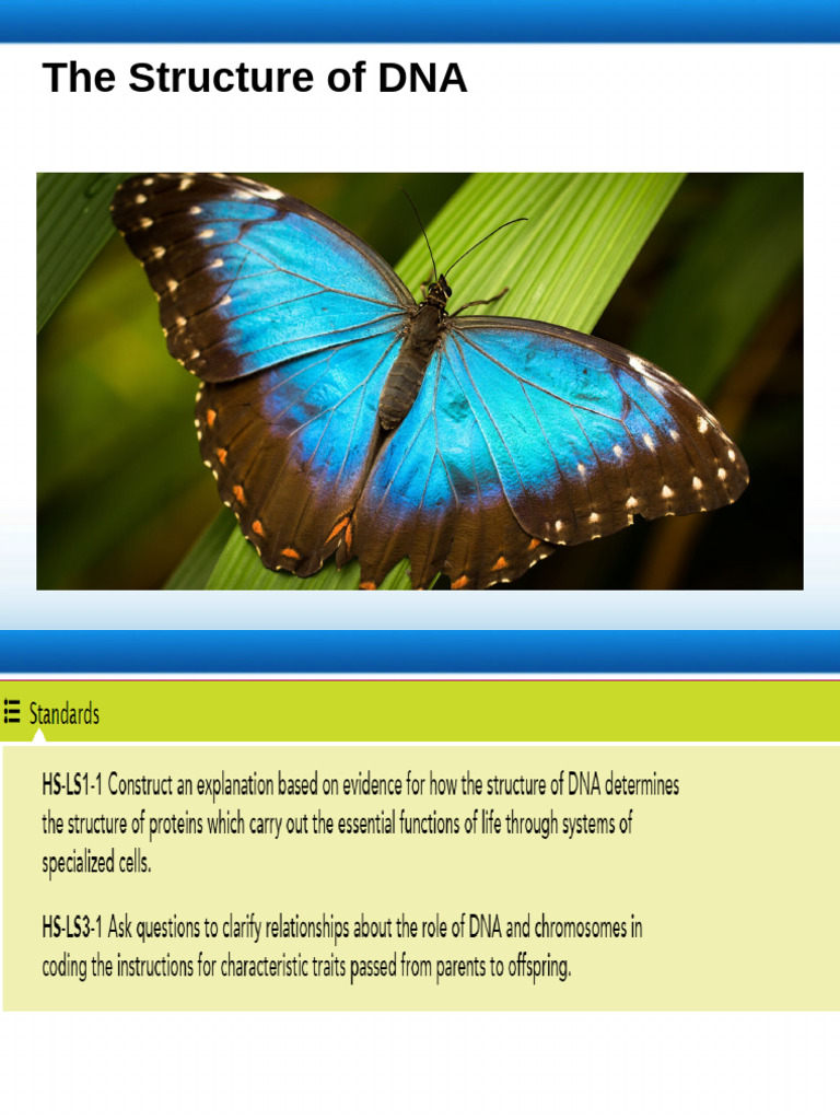 BIO CH13 L02 Editable Presentation | PDF