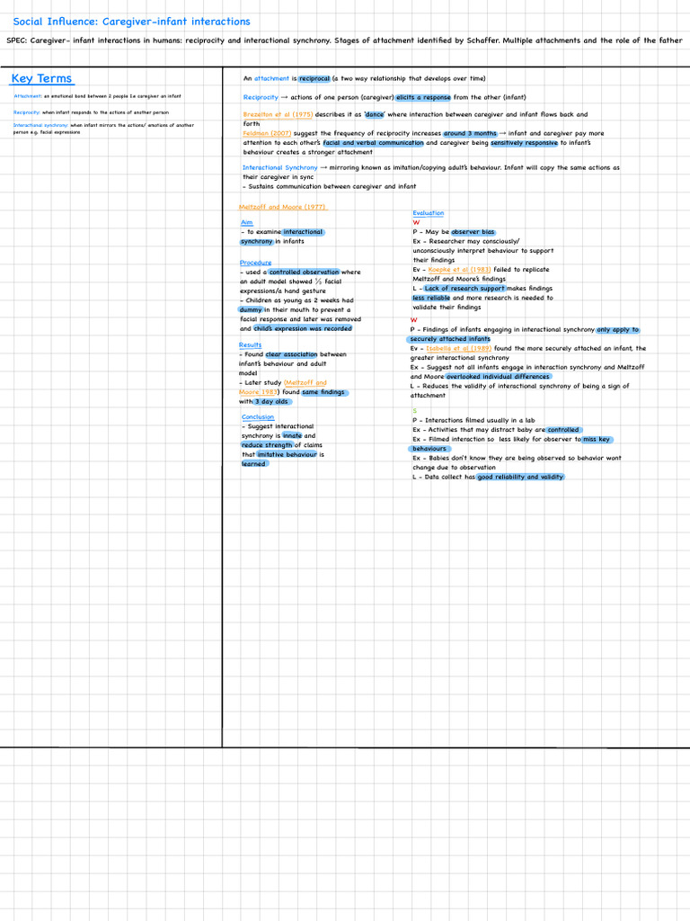 Social Influence Notes | PDF