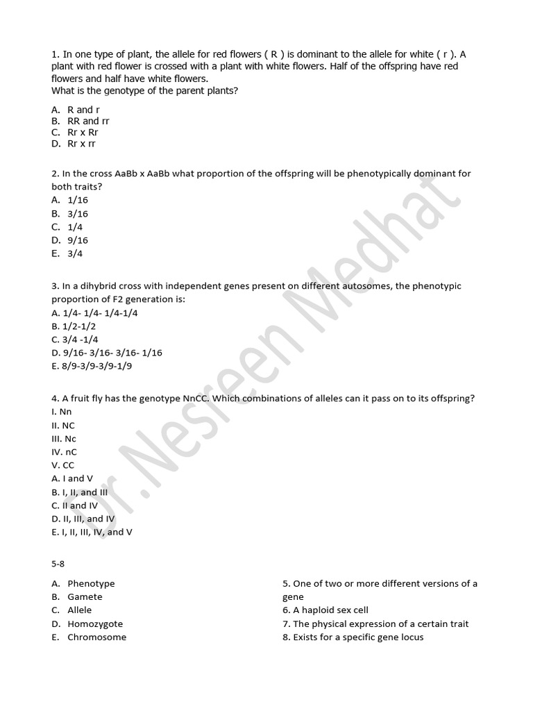 Genetics1 Est2 ACT2 Biology | PDF