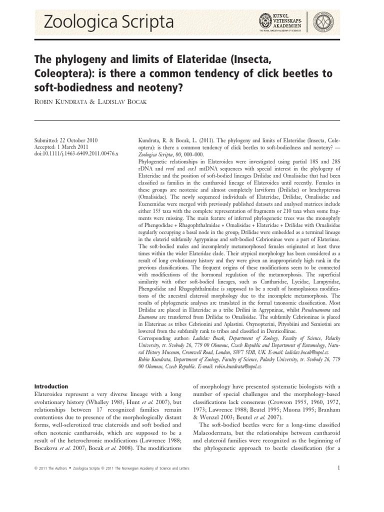 The Phylogeny and Limits of Elateridae | PDF | Phylogenetic Tree ...