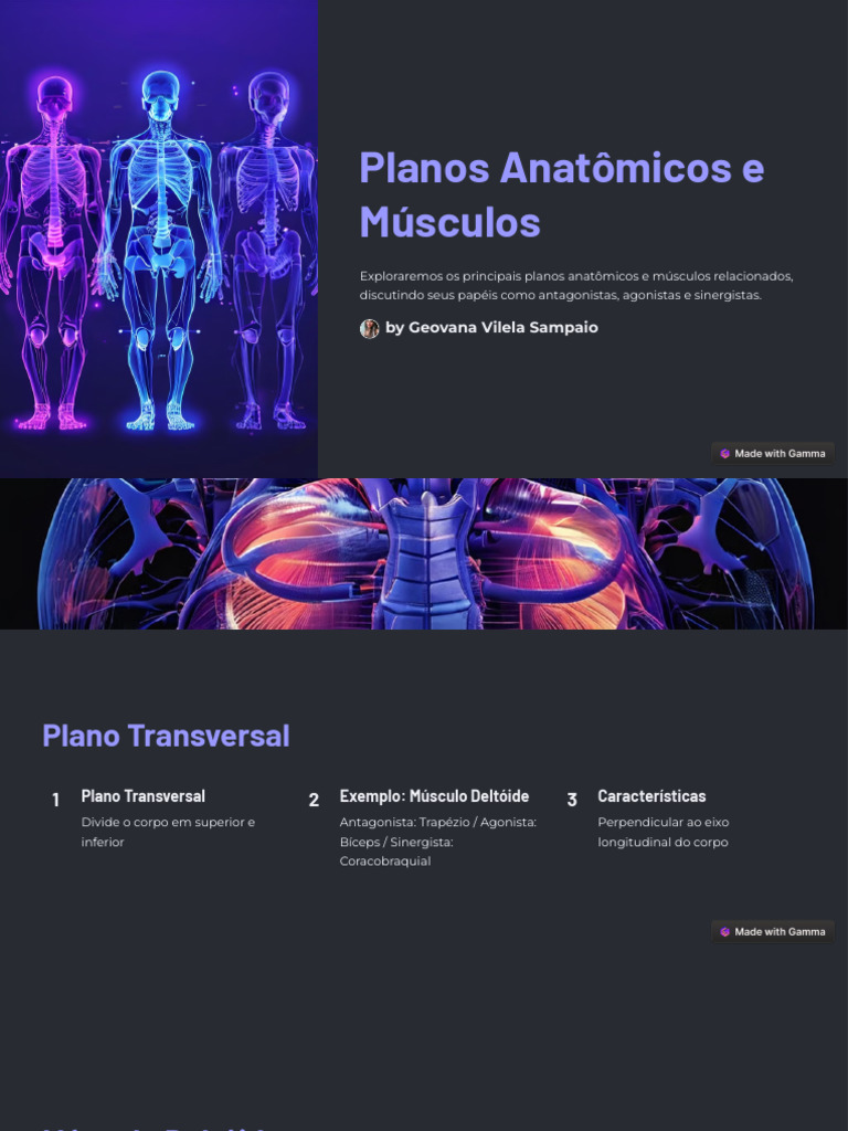 Planos Anatomicos e Musculos | PDF